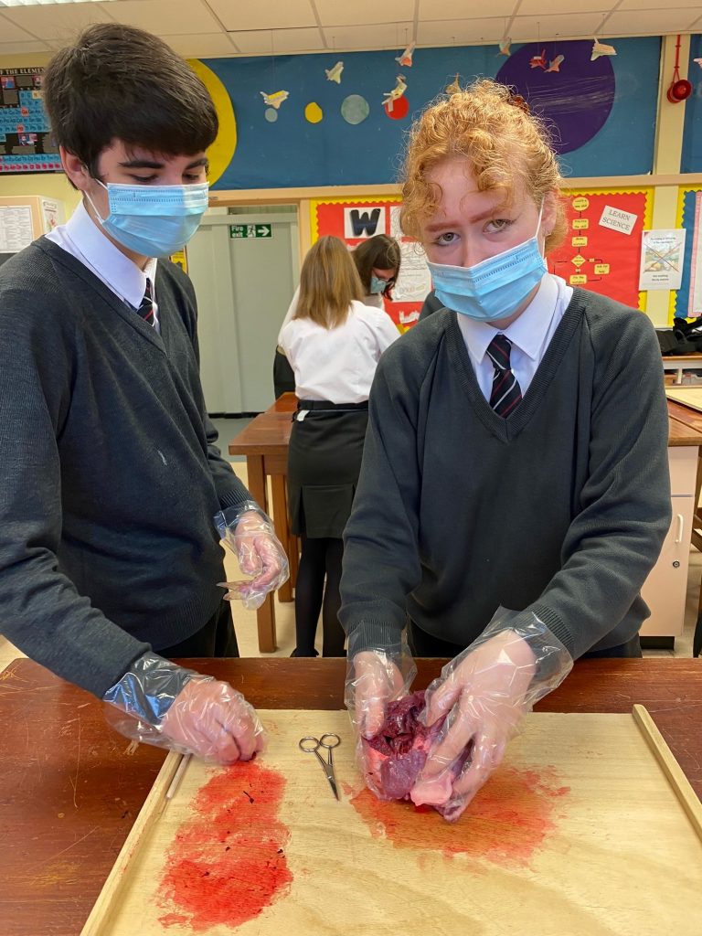 Year 12 Science - Cullybackey College