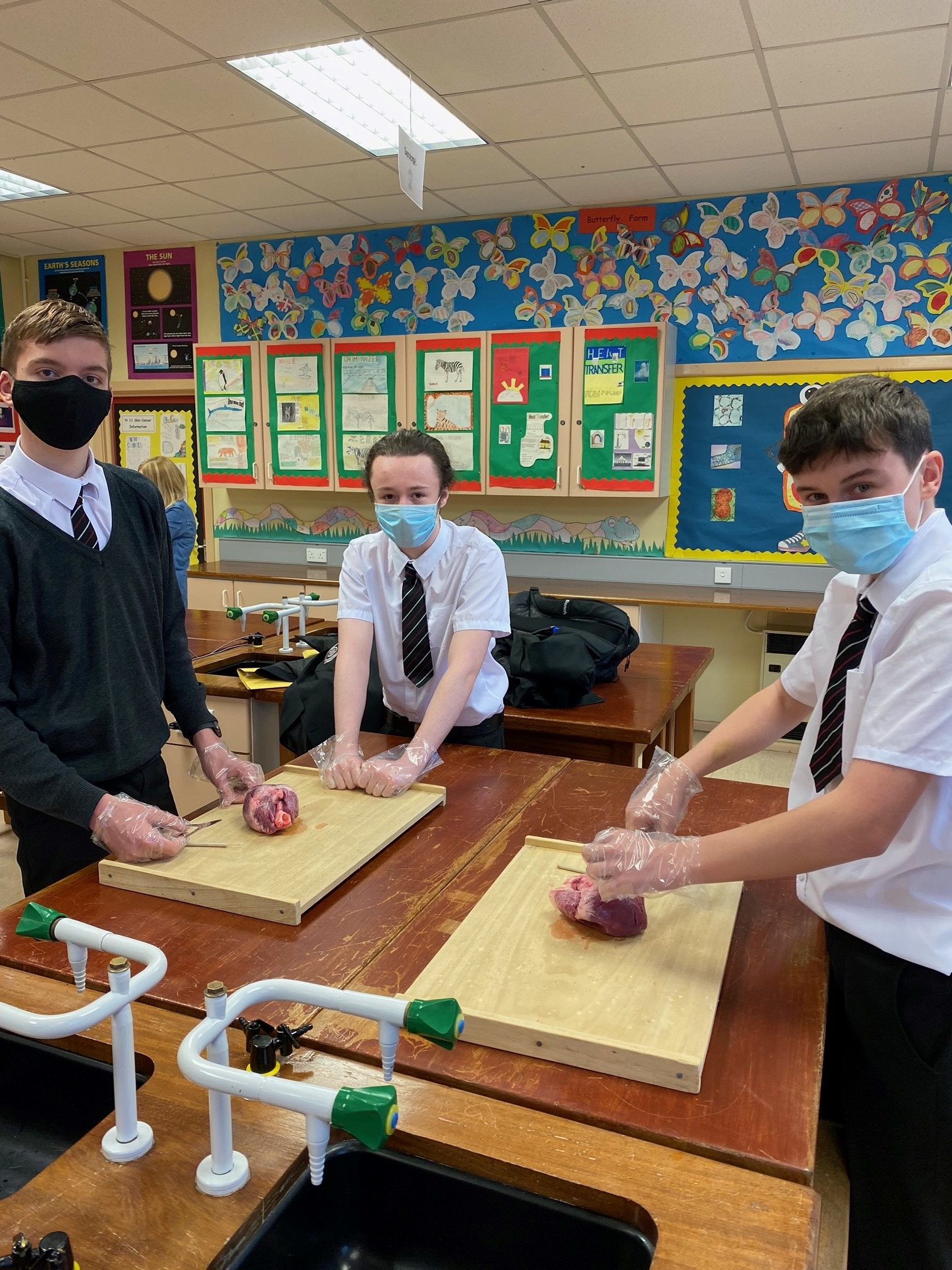 Year 12 Science - Cullybackey College