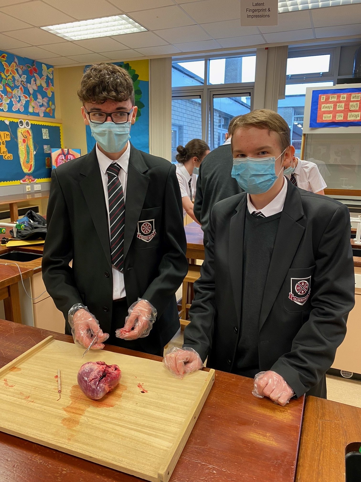 Year 12 Science - Cullybackey College