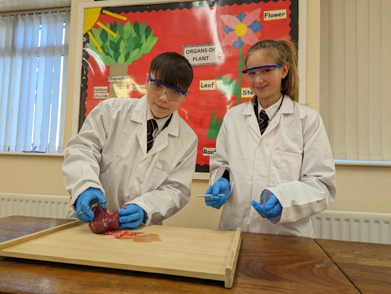 Motor Vehicle Studies - Cullybackey College